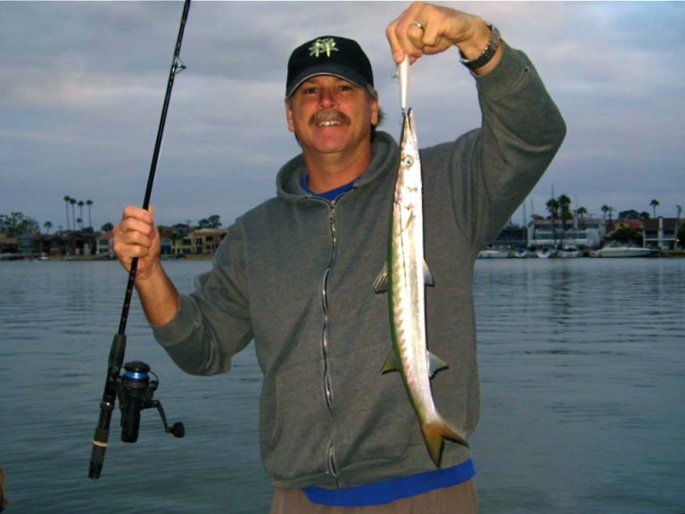 Pacific Barracuda - Pier Fishing in California