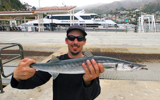 Pacific Barracuda - Pier Fishing in California