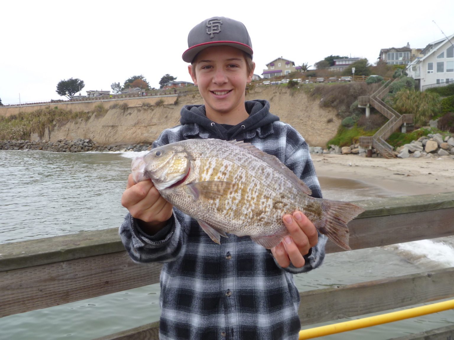 Barred Surfperch - Pier Fishing in California