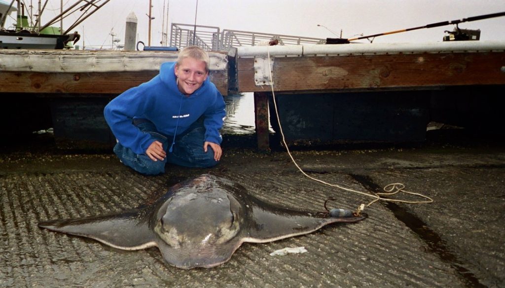 Bat Ray - Pier Fishing in California