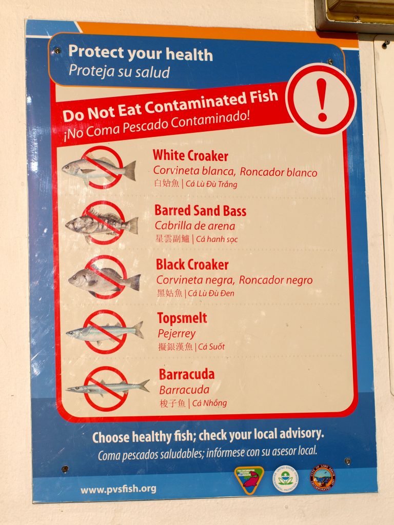 Belmont Veterans Memorial Pier — Long Beach - Pier Fishing in California