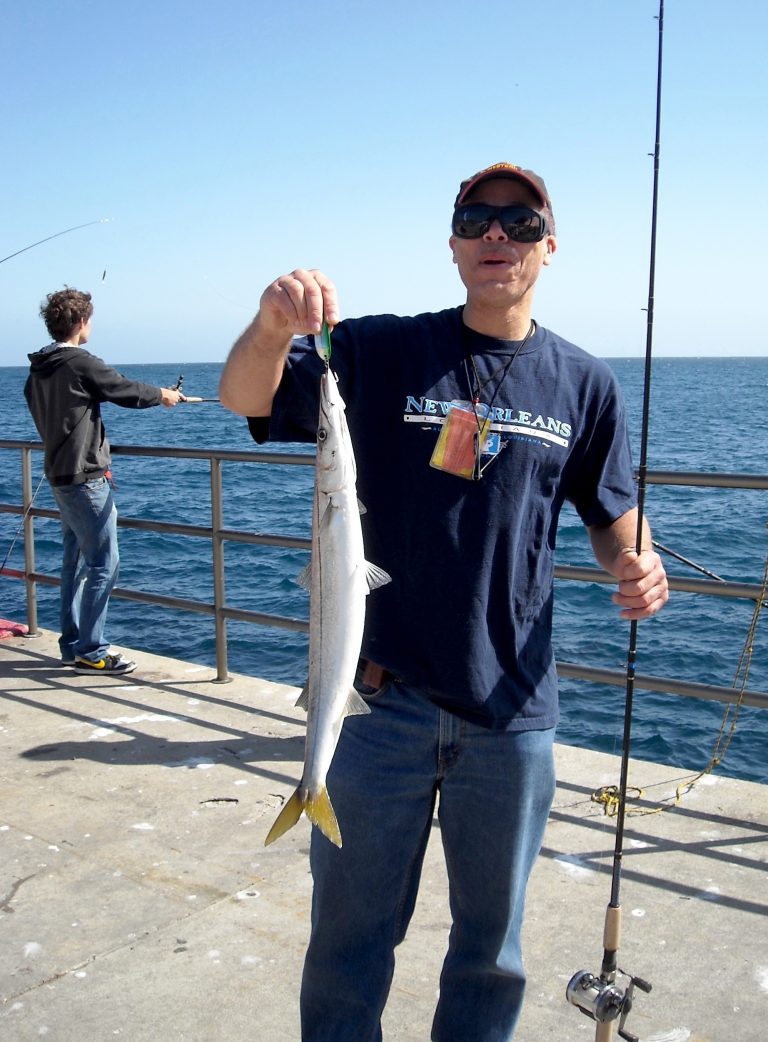 Pacific Barracuda - Pier Fishing in California