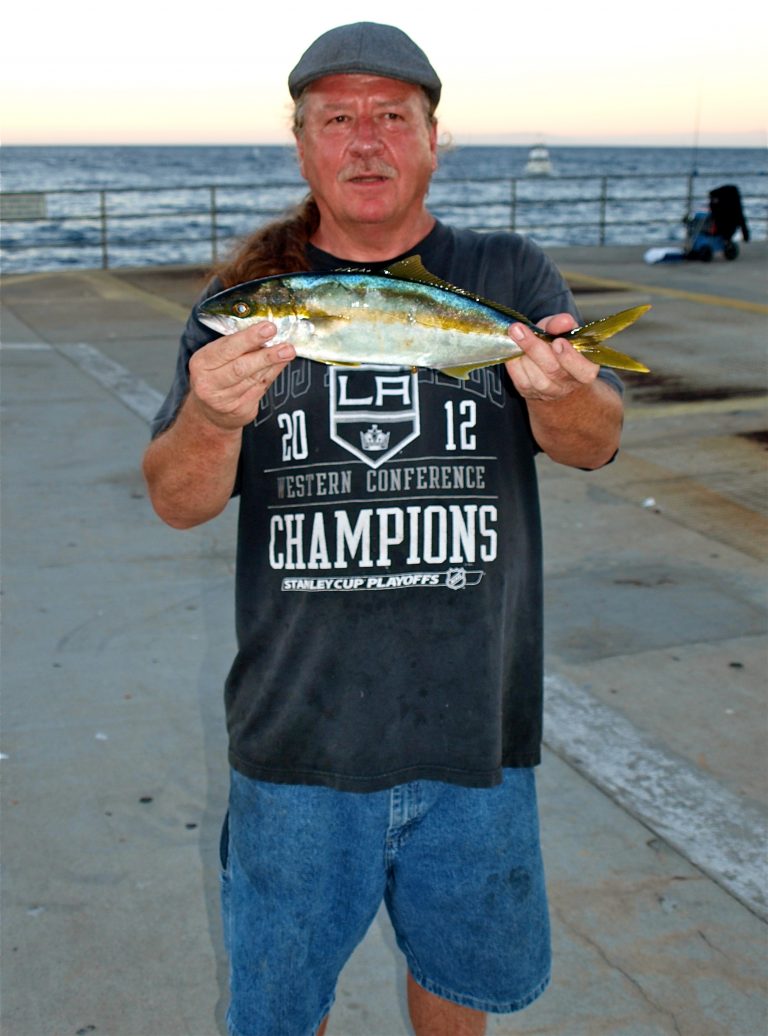 California Yellowtail - Pier Fishing in California