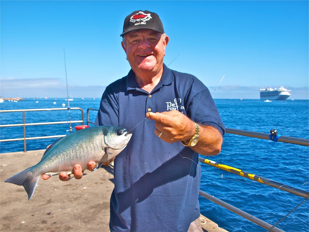 Halfmoon - Pier Fishing in California
