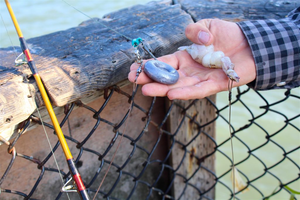 ER_2018_7_Shark.Rig - Pier Fishing in California