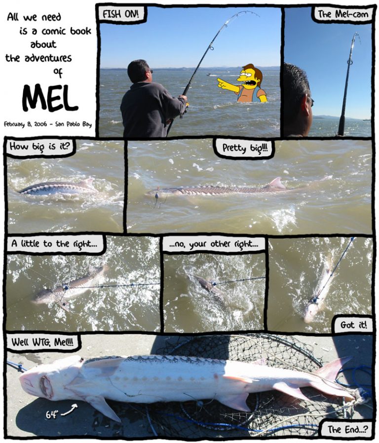 Mel_comic_1 - Pier Fishing in California