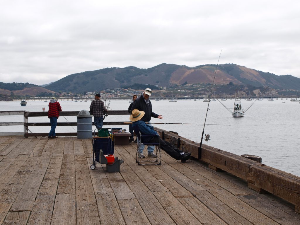 OLYMPUS DIGITAL CAMERA - Pier Fishing in California