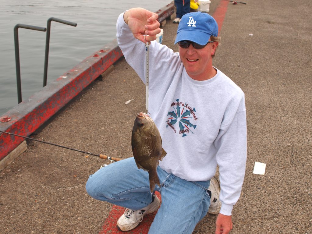 Pile Perch - Pier Fishing in California