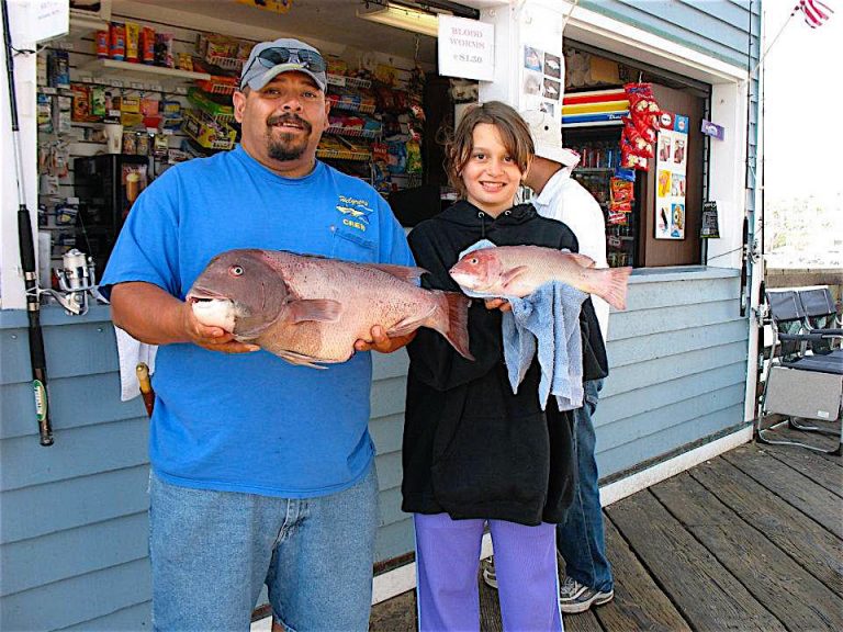 California Sheephead - Pier Fishing in California