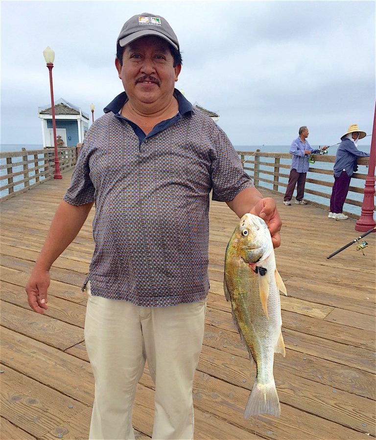 Spotfin Croaker - Pier Fishing in California