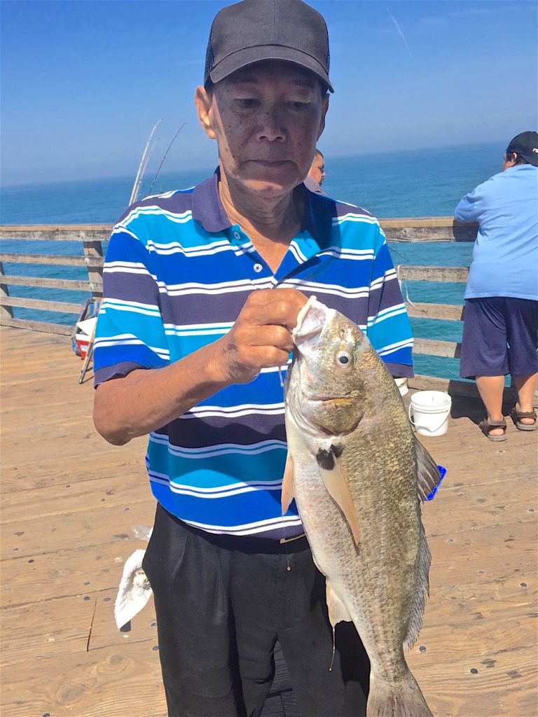Spotfin Croaker - Pier Fishing in California