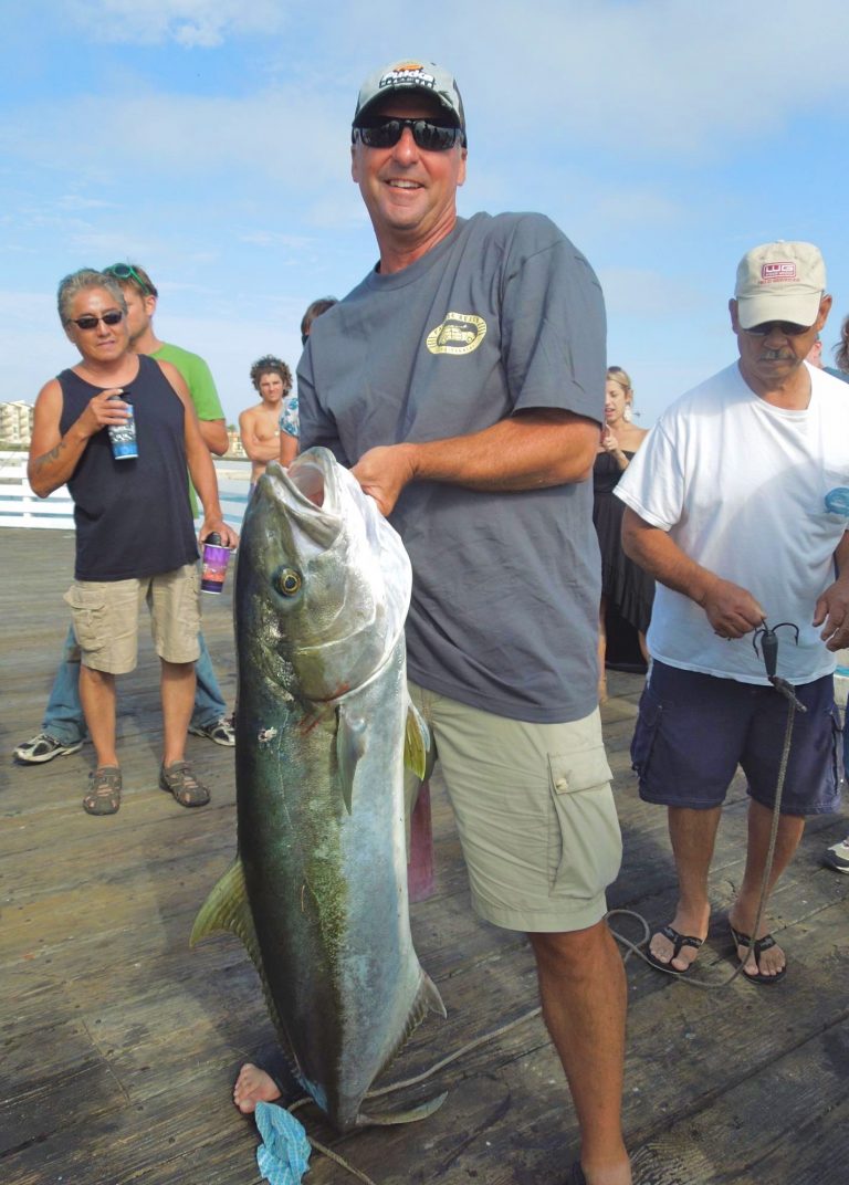 California Yellowtail - Pier Fishing in California