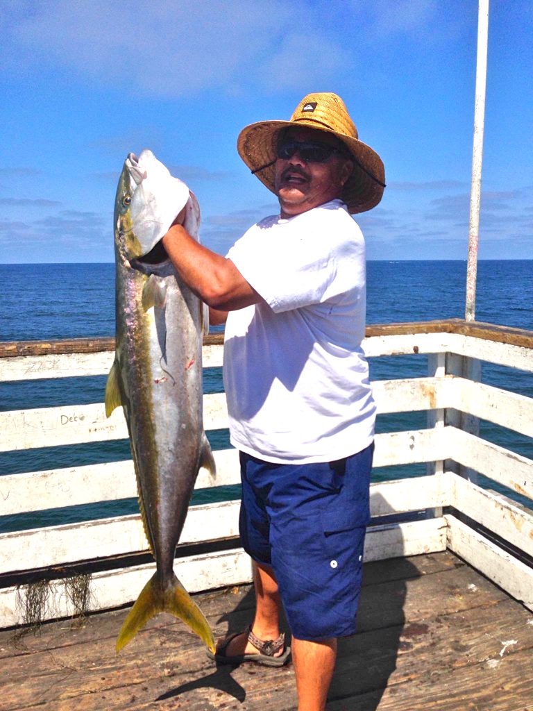California Yellowtail - Pier Fishing in California