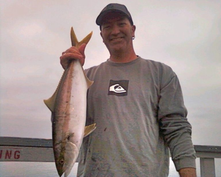California Yellowtail - Pier Fishing in California