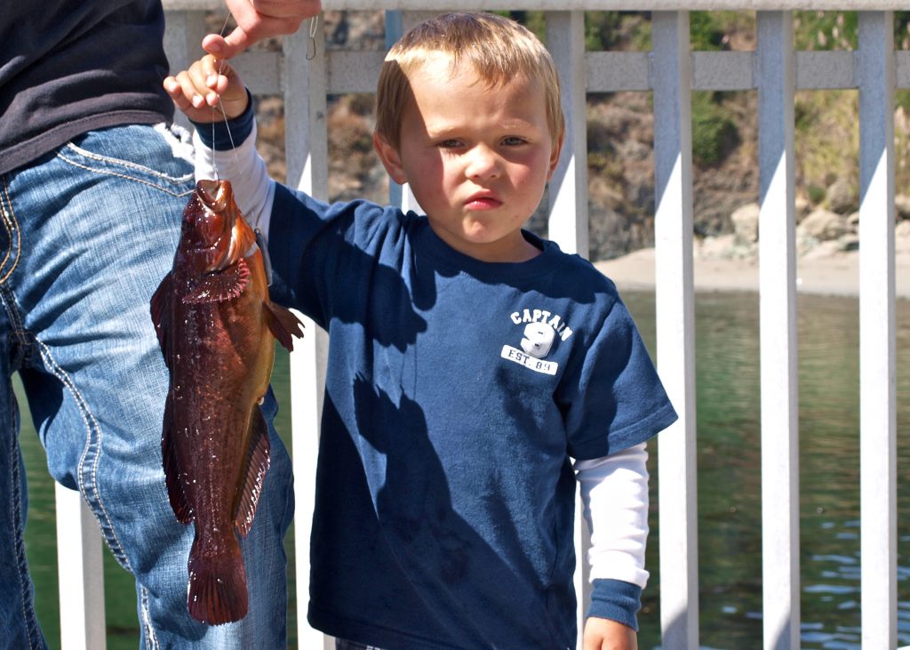 Rock Greenling - Pier Fishing in California