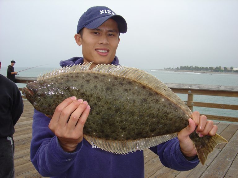 California Halibut - Pier Fishing in California