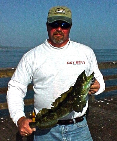 Lingcod - Pier Fishing in California