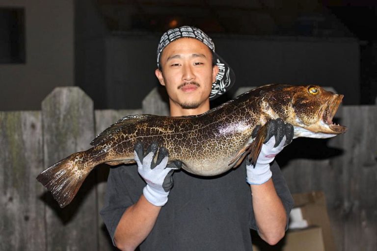 Lingcod - Pier Fishing in California