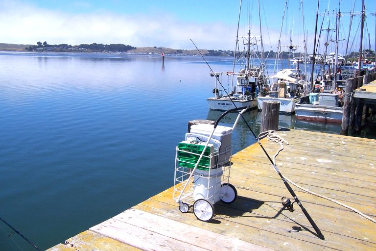 Lucas Wharf — Bodega Bay - Pier Fishing in California