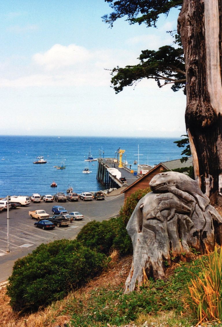 Point Arena Pier - Pier Fishing in California