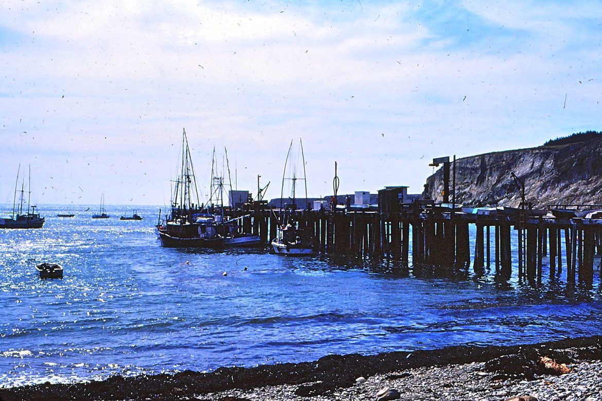 Point_Arena_Pier_1973_1 - Pier Fishing in California