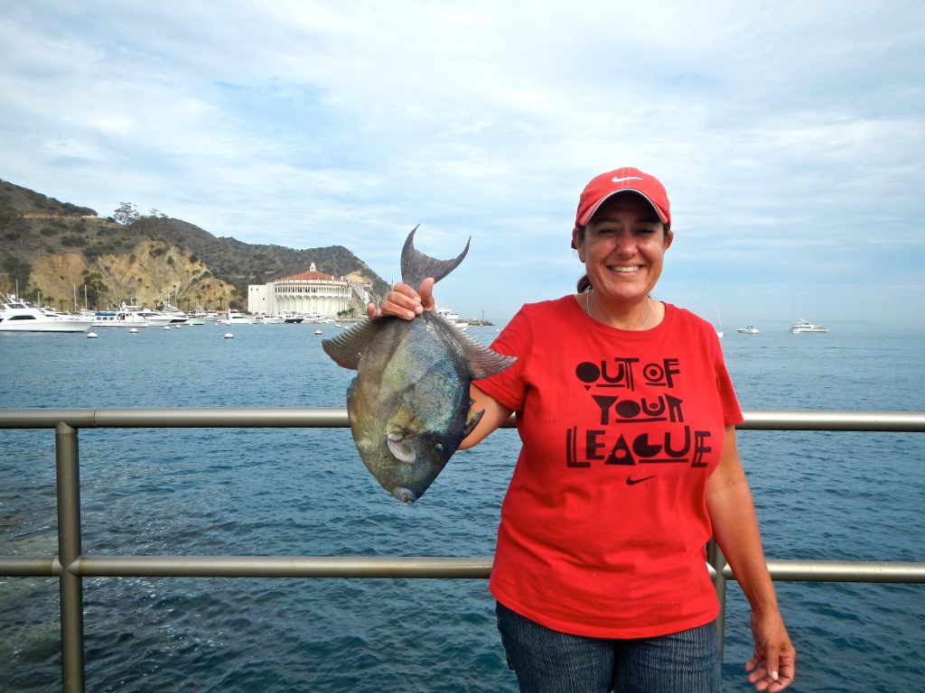 Triggerfish_Cabrillo.Mole_2015_Pic.Hashem - Pier Fishing in California