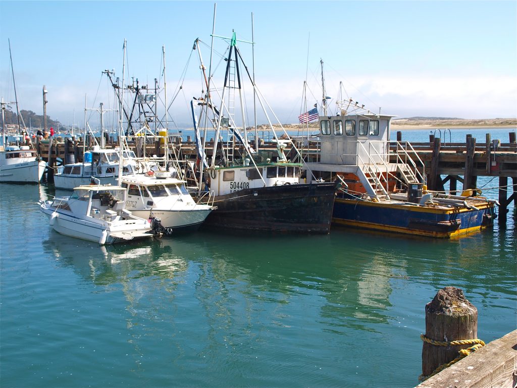 Morro Bay North T-Pier - Pier Fishing in California