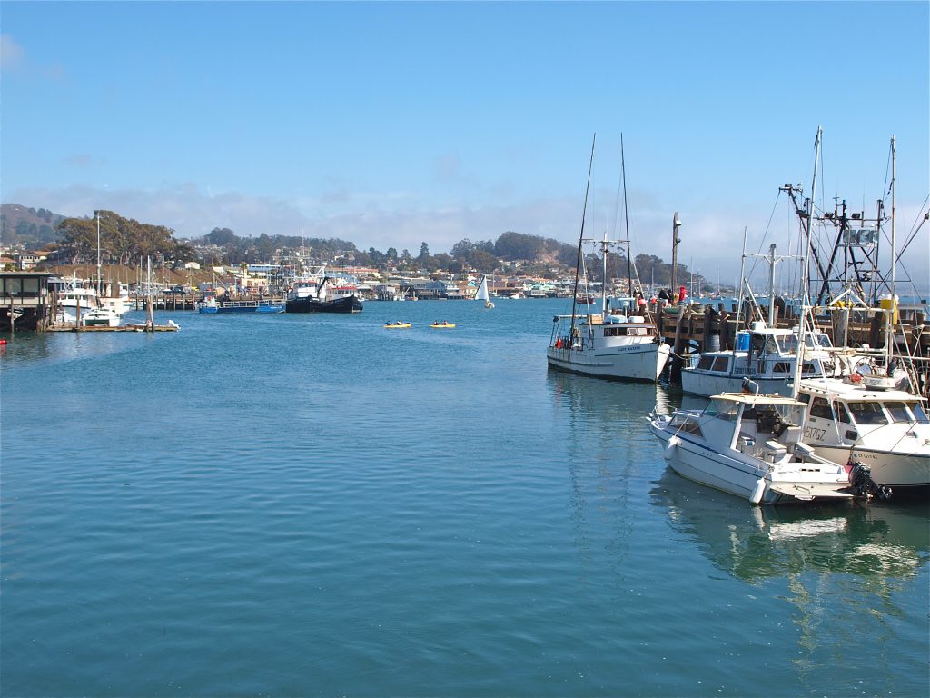 Morro Bay North T-Pier - Pier Fishing in California