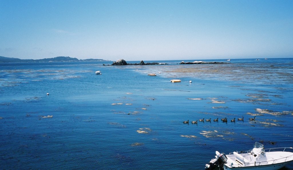 Stillwater Cove Pier aka Matthew & Mimi Jenkins Pier — Pebble Beach ...
