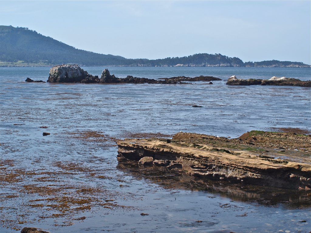 Stillwater Cove Pier aka Matthew & Mimi Jenkins Pier — Pebble Beach ...