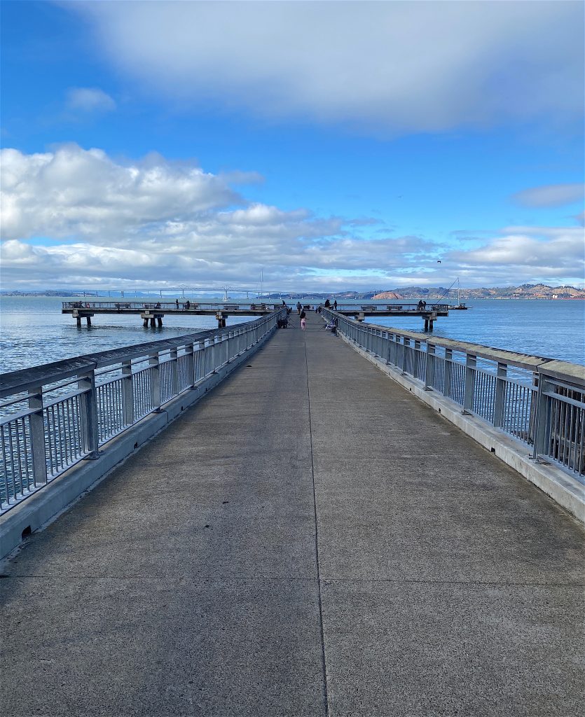 Paradise Beach Pier — Tiburon - Pier Fishing in California