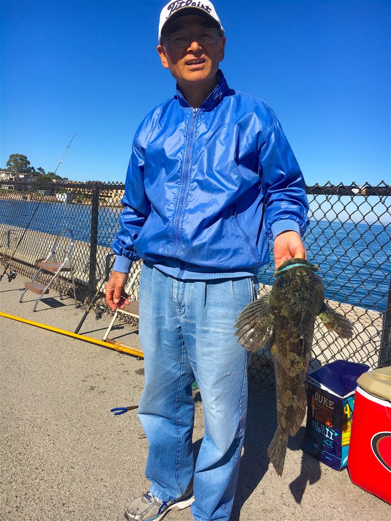 Cabezon.3_MCGP_Ted.Harada copy - Pier Fishing in California