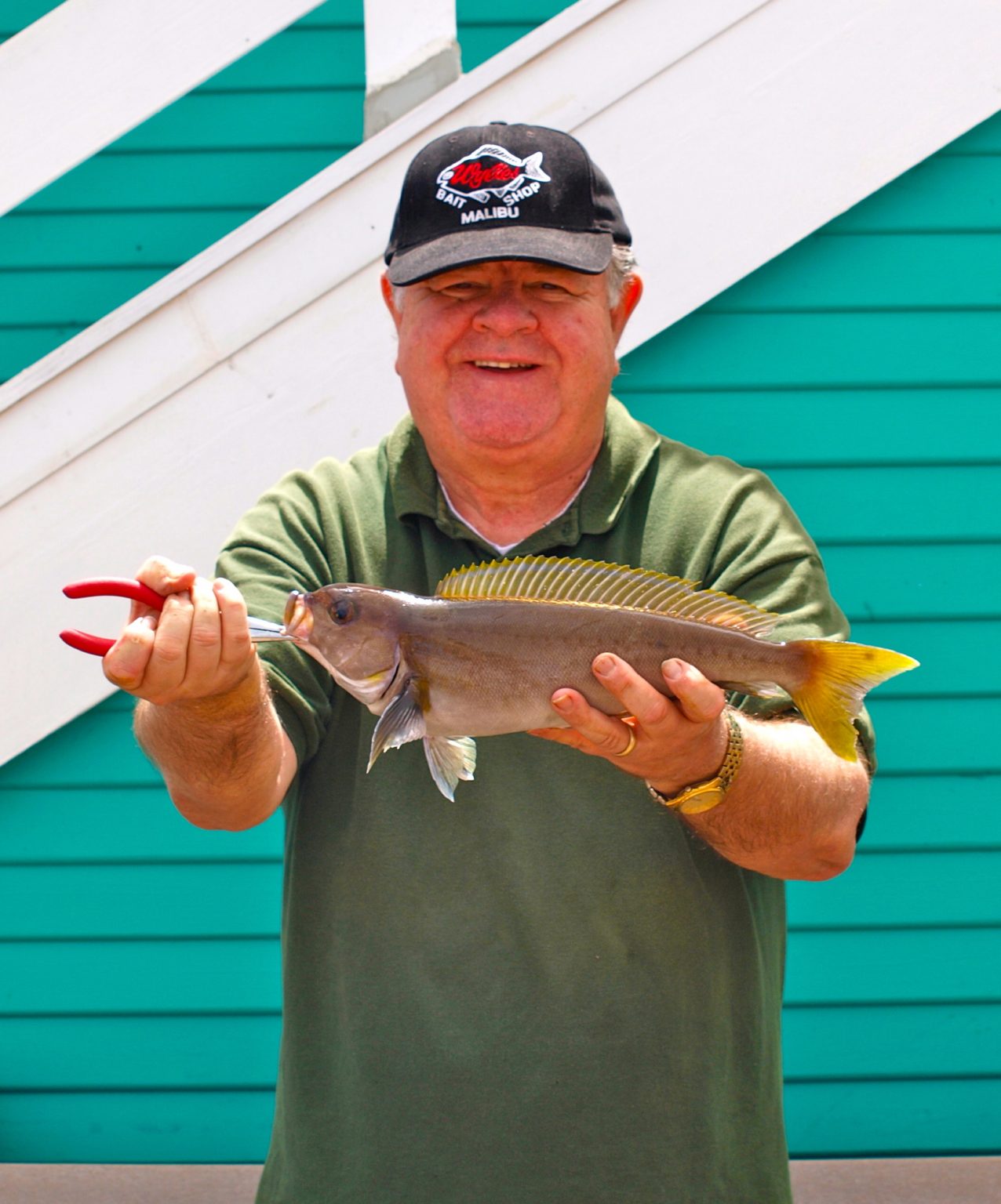 Ocean Whitefish - Pier Fishing in California