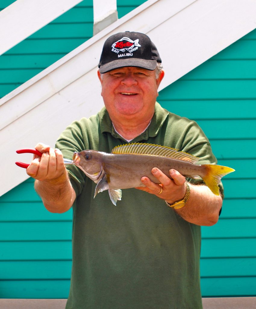 Ocean Whitefish - Pier Fishing in California