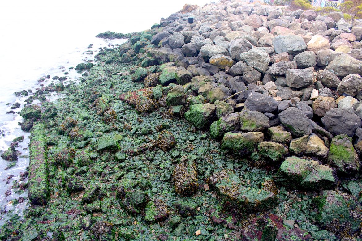 Ferry Point Pier — Richmond - Pier Fishing in California