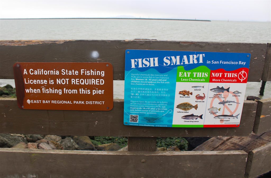 Ferry.Point.Pier_2018_32_No.License - Pier Fishing in California