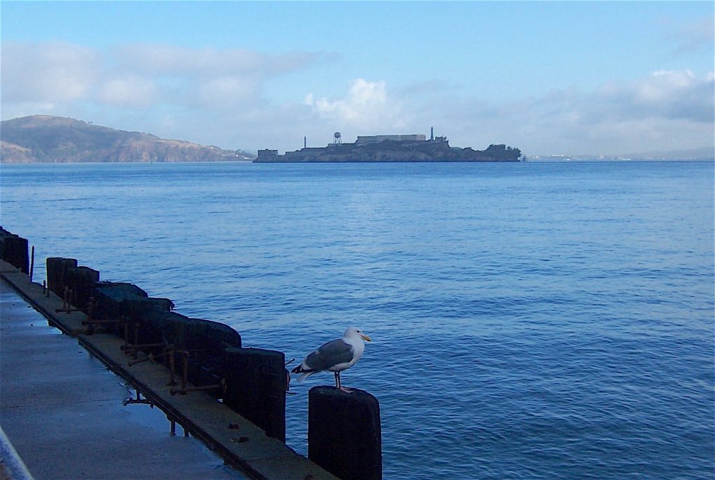 Fort Mason Pier — San Francisco - Pier Fishing in California