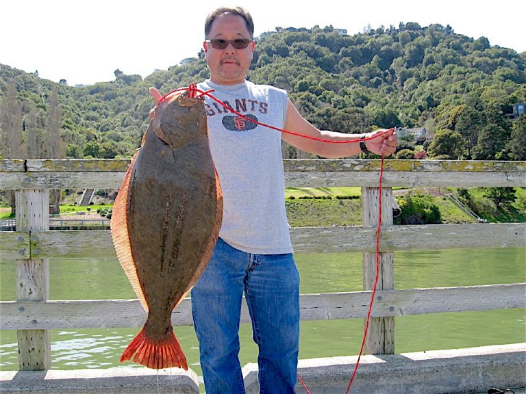 California Halibut - Pier Fishing in California