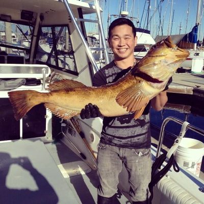 Lingcod - Pier Fishing in California