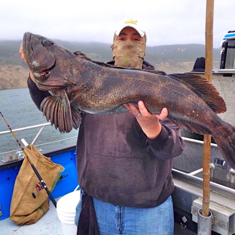 Lingcod - Pier Fishing in California