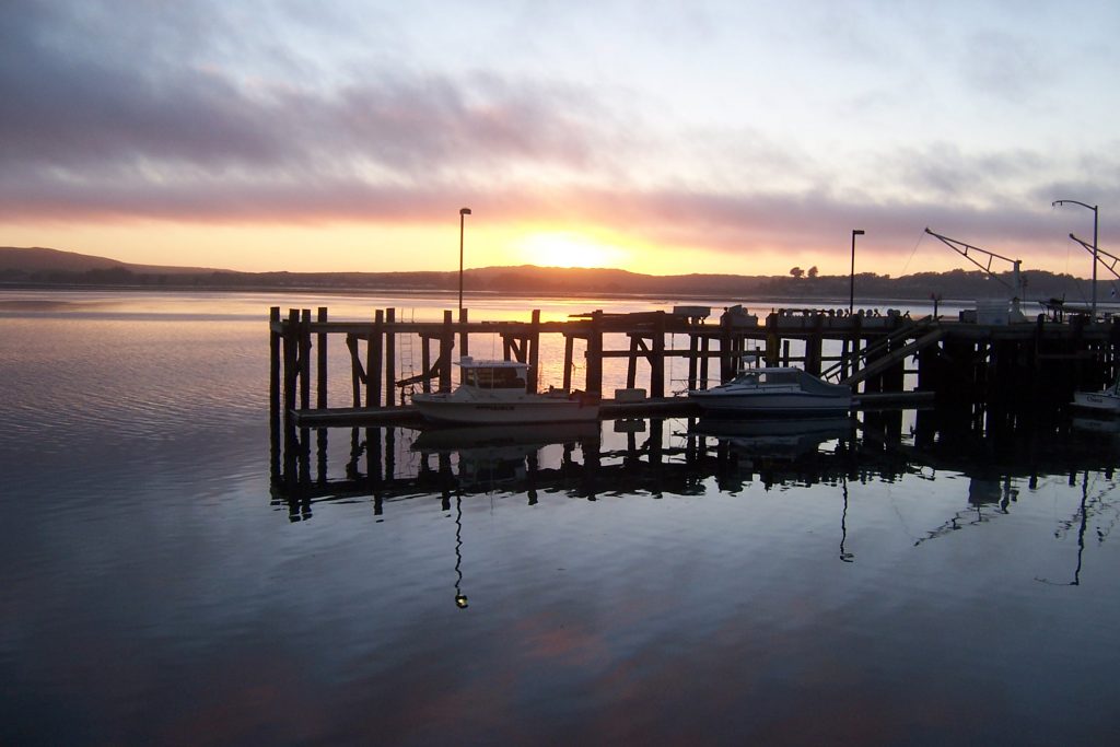 Lucas Wharf — Bodega Bay - Pier Fishing in California