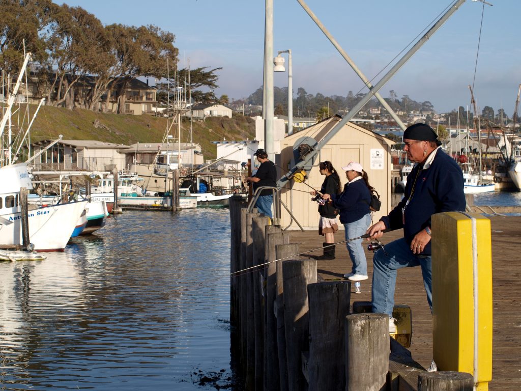 Morro Bay South T-Pier - Pier Fishing in California