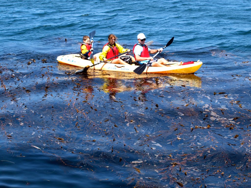 Monterey Coast Guard Pier aka Coast Guard Jetty - Pier Fishing in ...