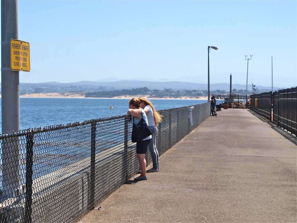 Monterey Coast Guard Pier aka Coast Guard Jetty - Pier Fishing in ...