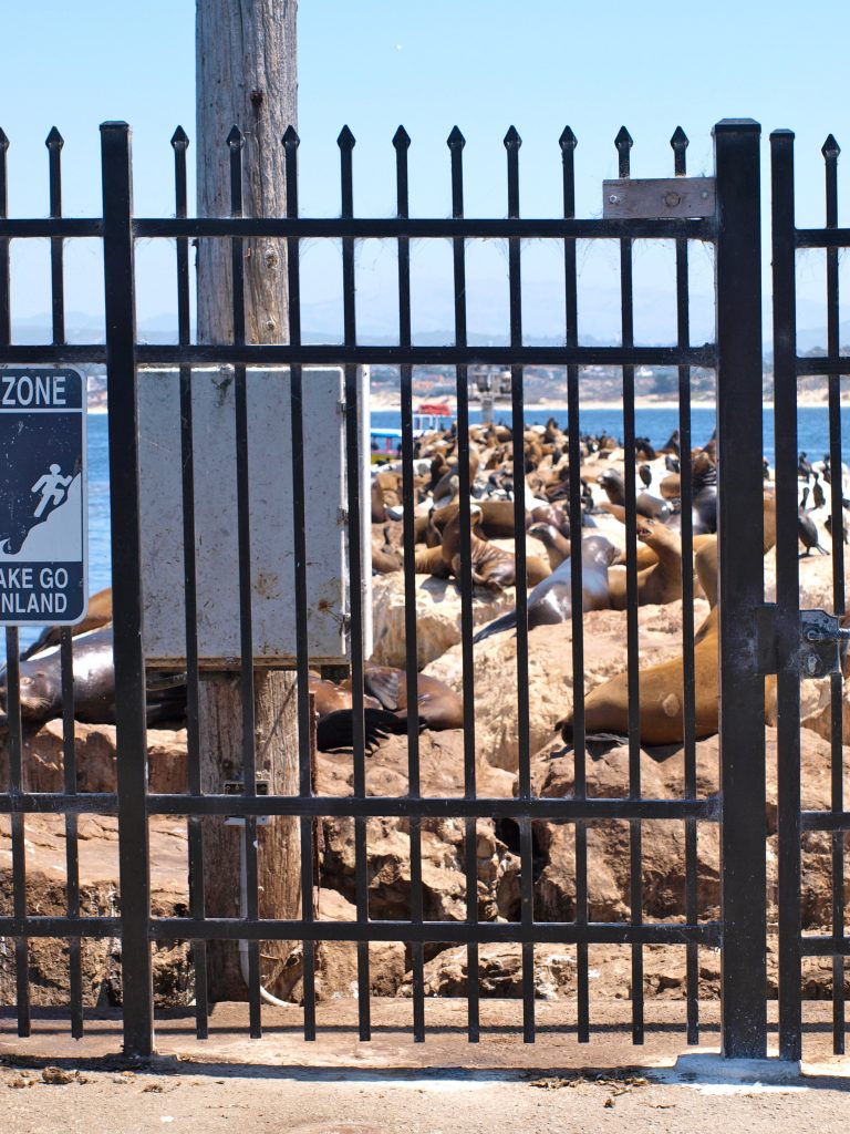 Monterey Coast Guard Pier aka Coast Guard Jetty - Pier Fishing in ...