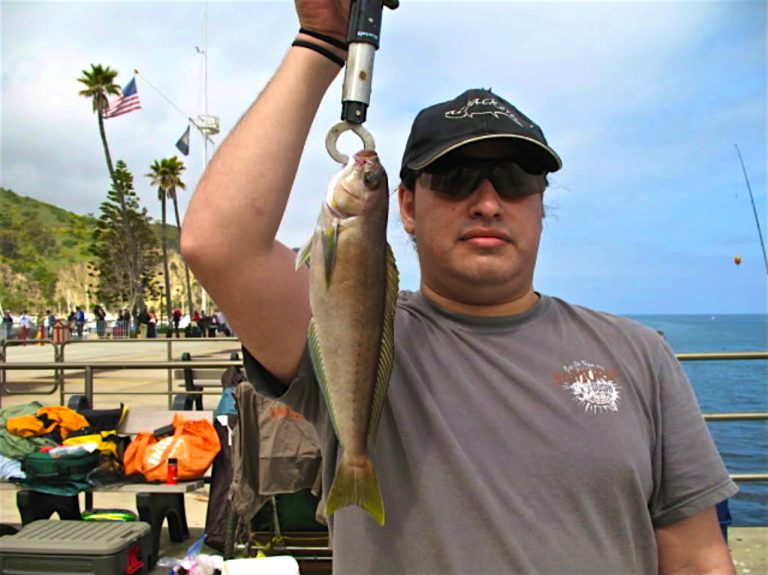 Ocean Whitefish - Pier Fishing in California