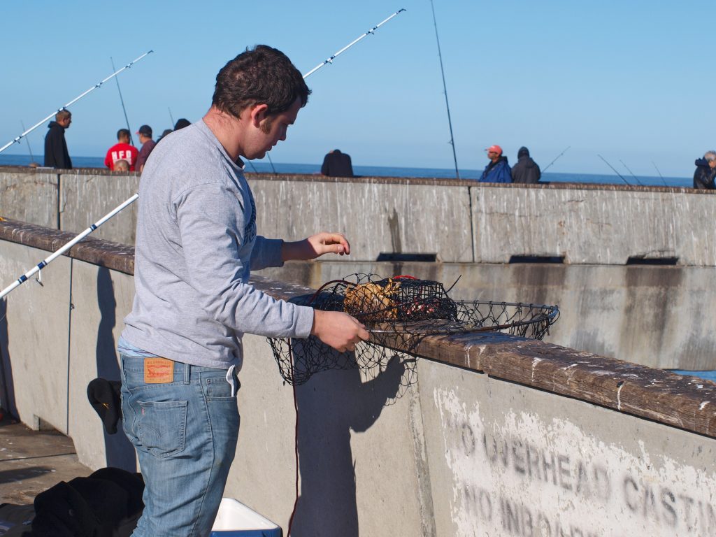 Pacifica Pier - Pier Fishing in California