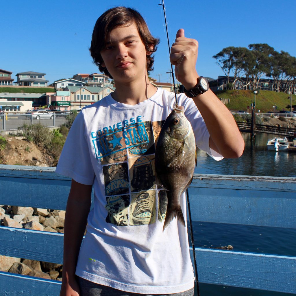 Morro Bay South T-Pier - Page 2 of 3 - Pier Fishing in California