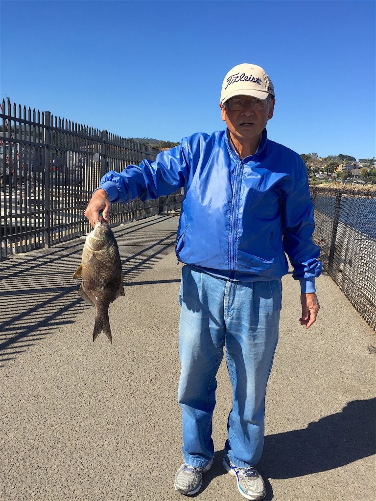 Pileperch_MCGP_Ted.Harada - Pier Fishing in California