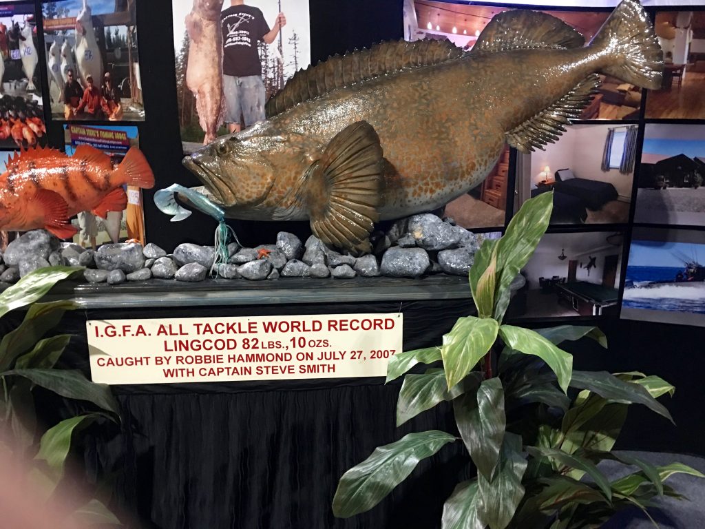 Lingcod - Pier Fishing in California